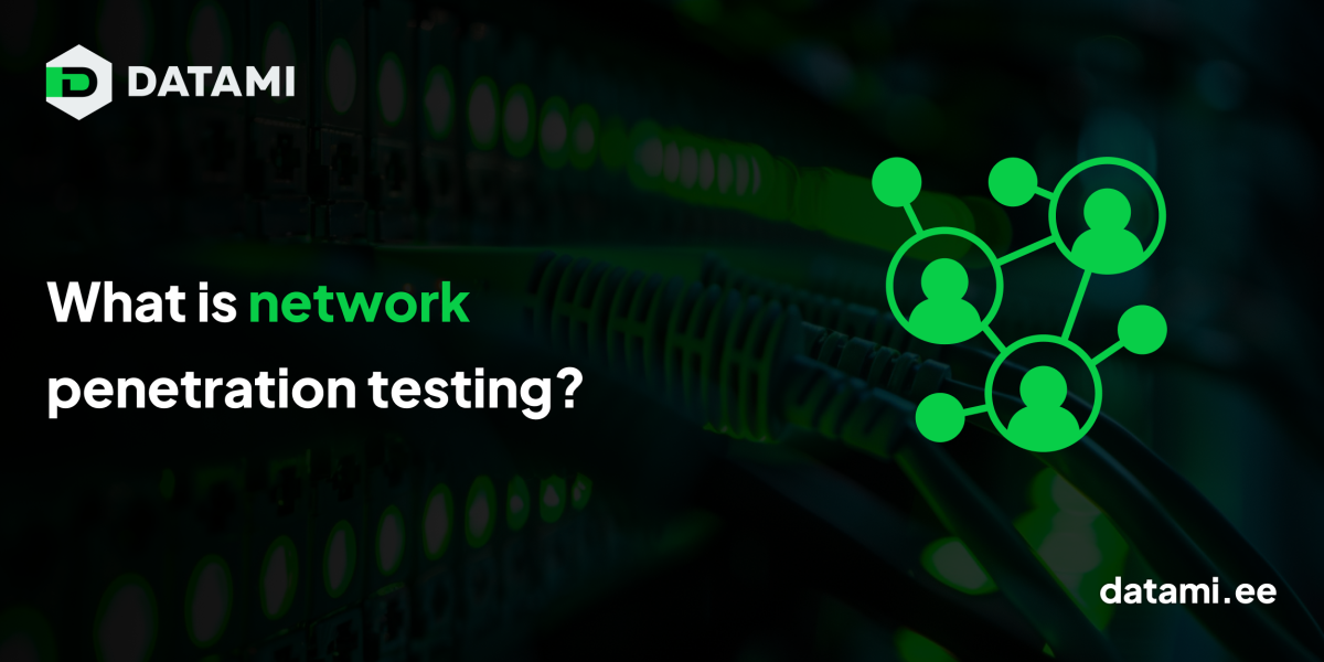 Network Penetration Testing: What Is a Network Pentest | Datami