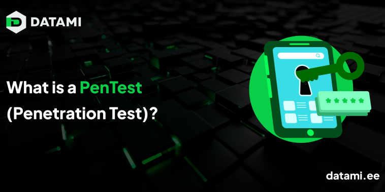 Penetration Test Steps: 7 Pentesting Process Phases | Datami Penetration Test Steps: 7 Pentesting Process Phases | Datami